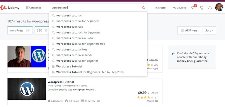 9 Ways to make money with WordPress (WP Profitable Business Ideas)