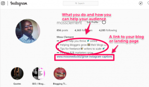 How to Use Instagram to Promote Your Blog (In 5 Easy Steps)